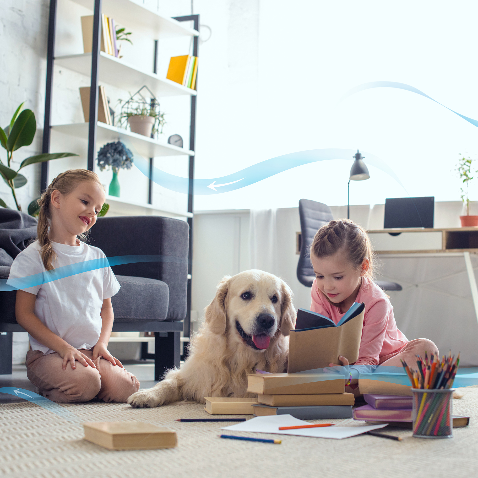 Whole House Fans - Energy Saver Series Whole House Fan